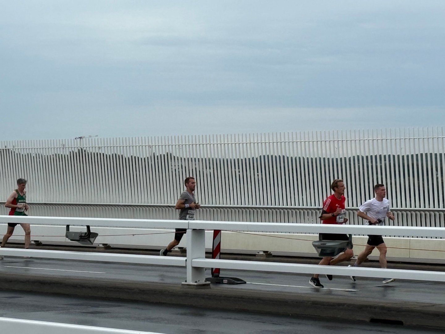 Photos ING Night Marathon 2025 Luxembourg – Communauté des Français du ...